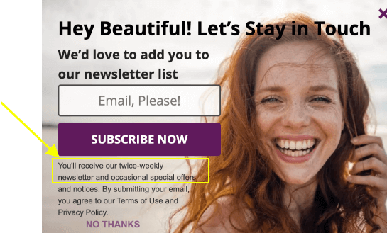 How to Write Email Capture Copy That Works - Annie Maguire